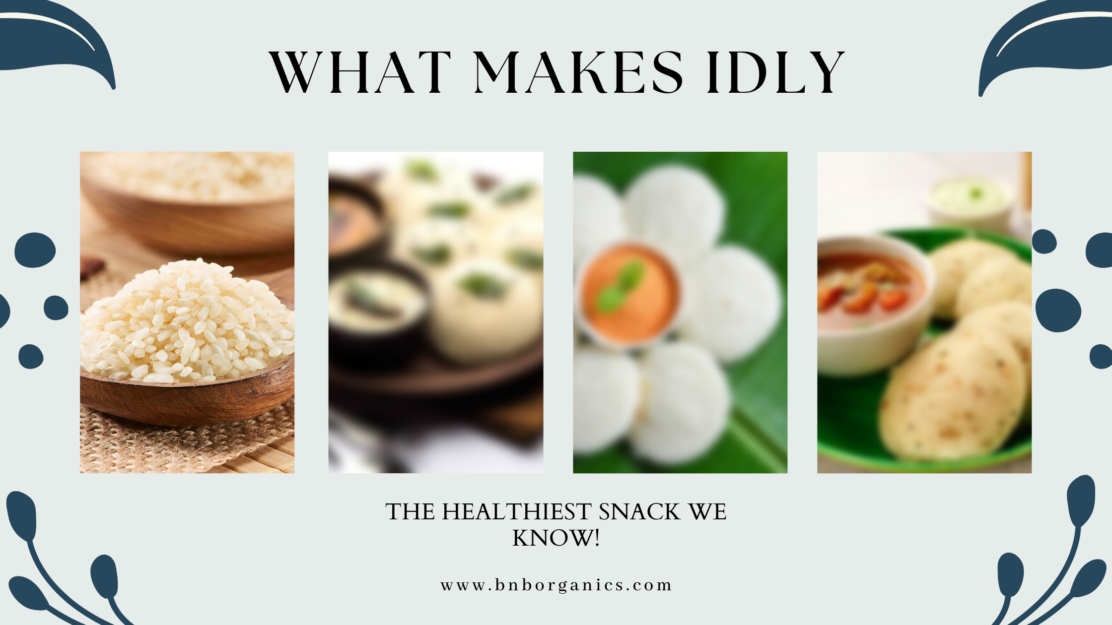 What Makes Idly The Healthiest Snack We Know! – B&B Organics
