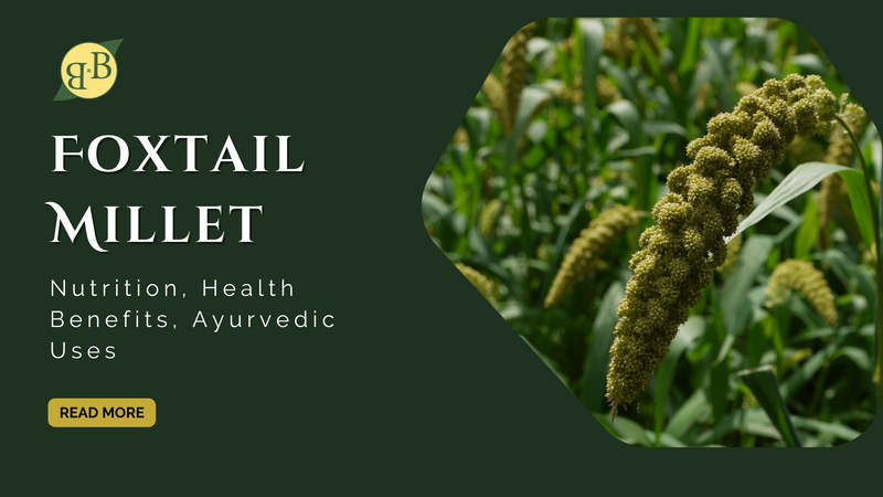 Foxtail Millet: Nutrition, Health Benefits, Ayurvedic Uses – B&B Organics