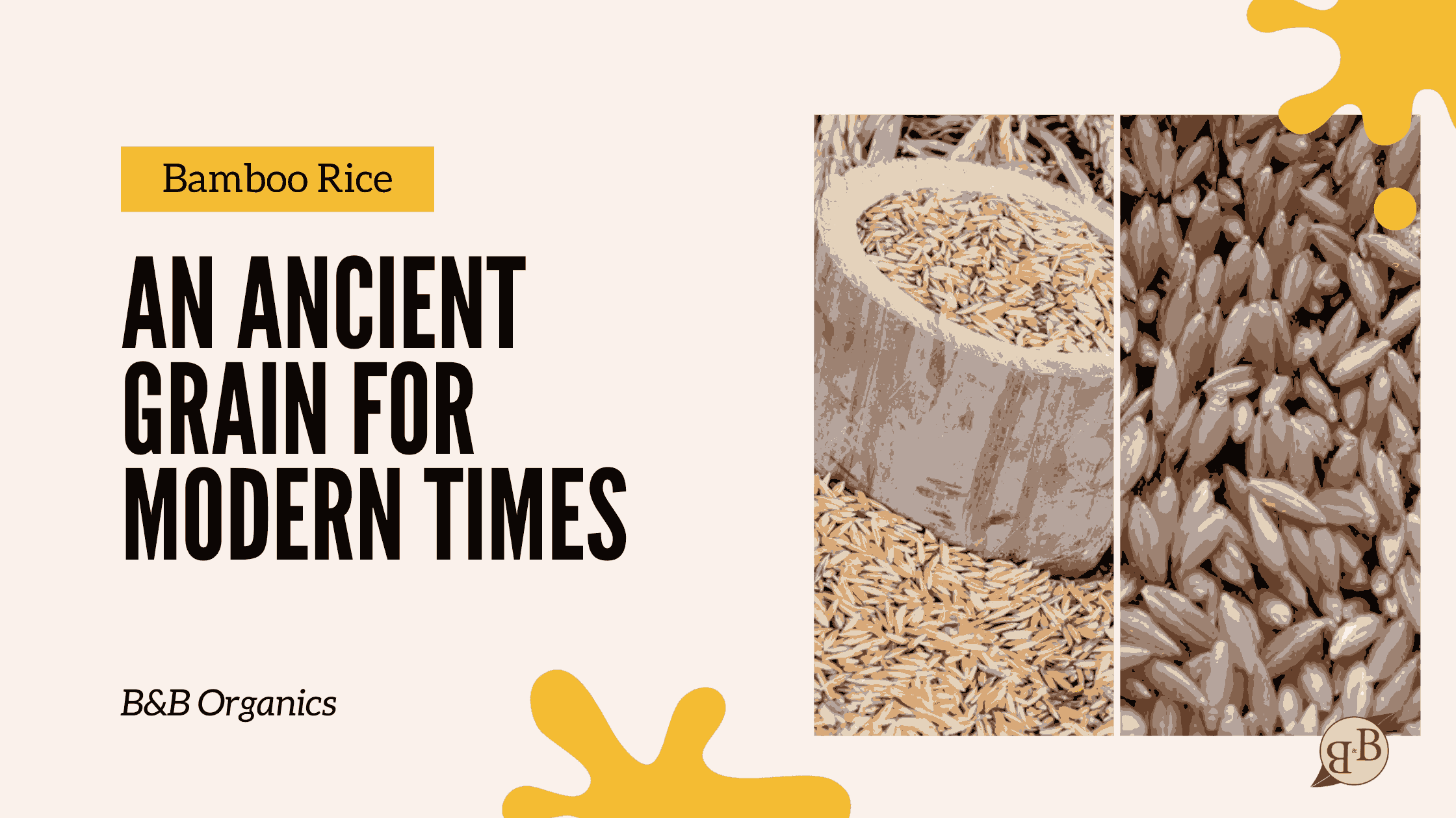 Bamboo Rice: An Ancient Grain for Modern Times – B&B Organics