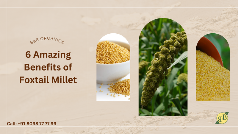 6 Amazing Benefits of Foxtail Millet – B&B Organics