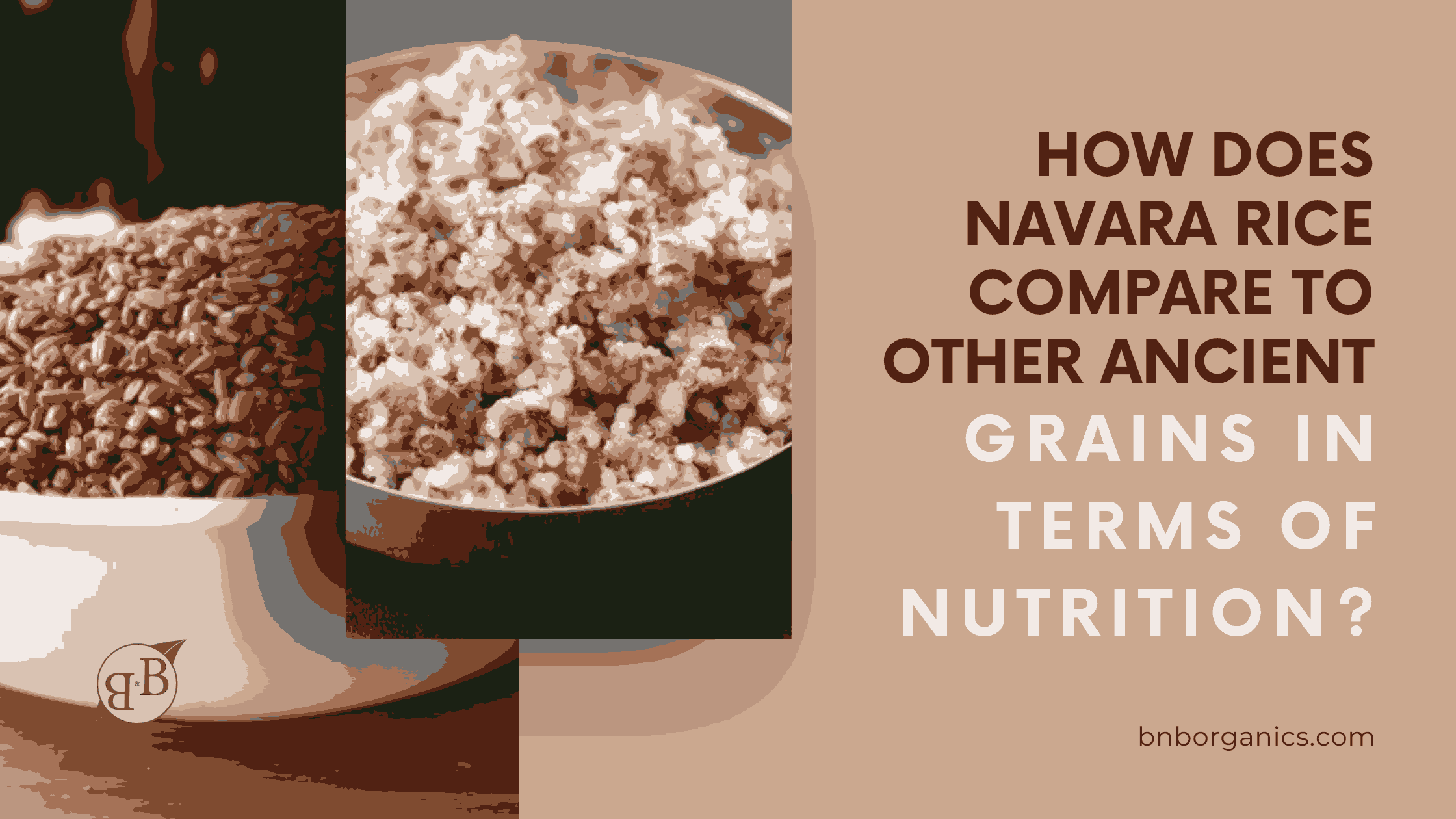 How does Navara Rice compare to other ancient grains in terms of nutri ...