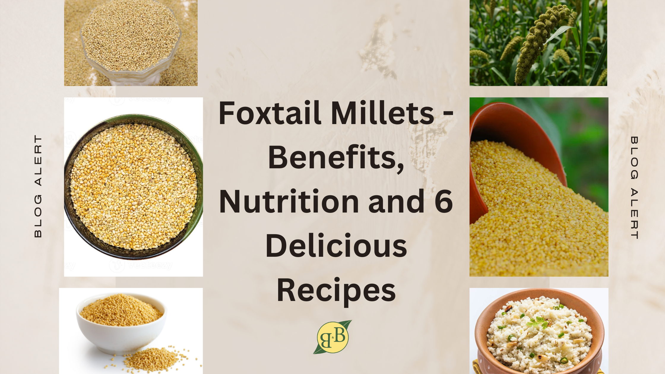 Foxtail Millets - Benefits, Nutrition and 6 Delicious Recipes – B&B ...