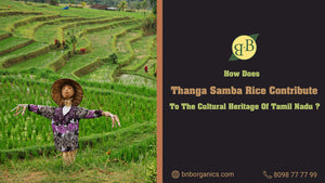 How does Thanga Samba rice contribute to the cultural heritage of Tami ...