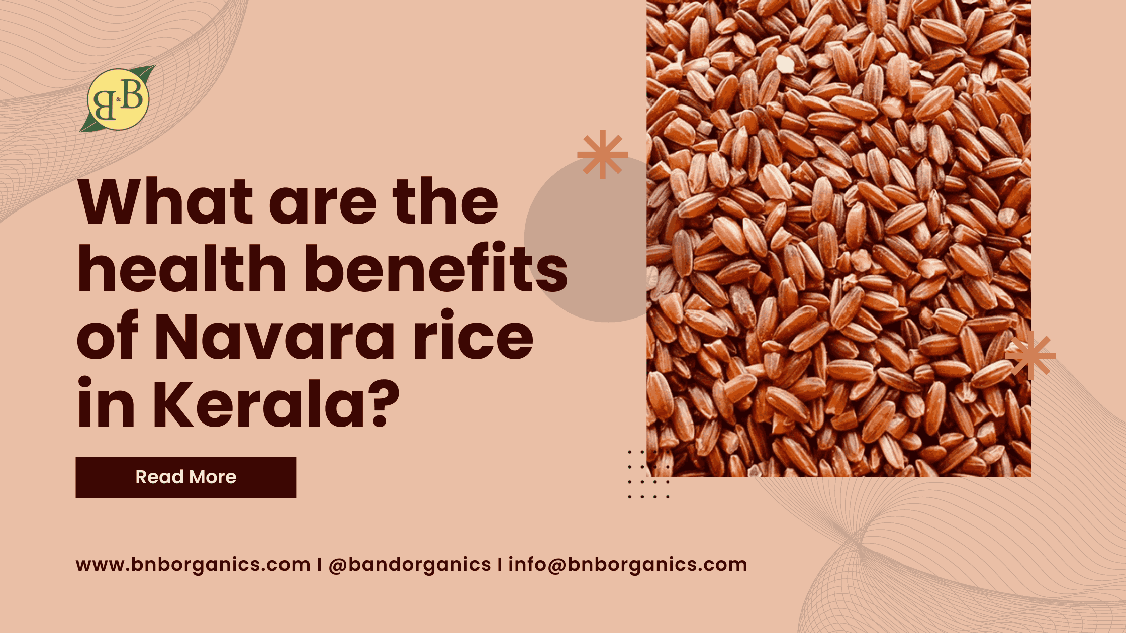 What are the health benefits of Navara rice in Kerala? – B&B Organics