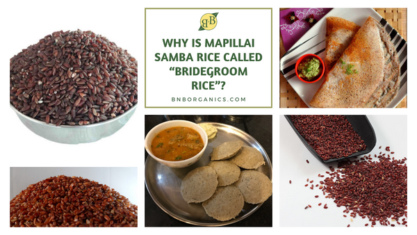 Why is Mapillai Samba rice called “Bridegroom Rice”? – B&B Organics